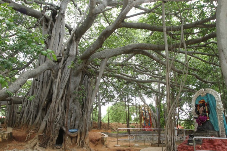 Mahadeva revealed Upanishads to Ramachandra Prabhu, Lakshmana and Sita ...