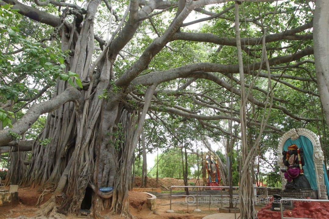 His Holiness Bhagawan Sri Nithyananda Paramashivam’s indescribable ...